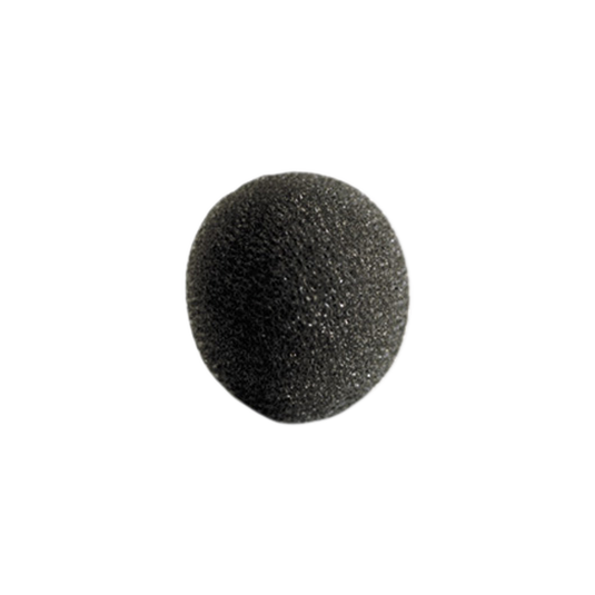 W407 | Windscreen for use with the C417